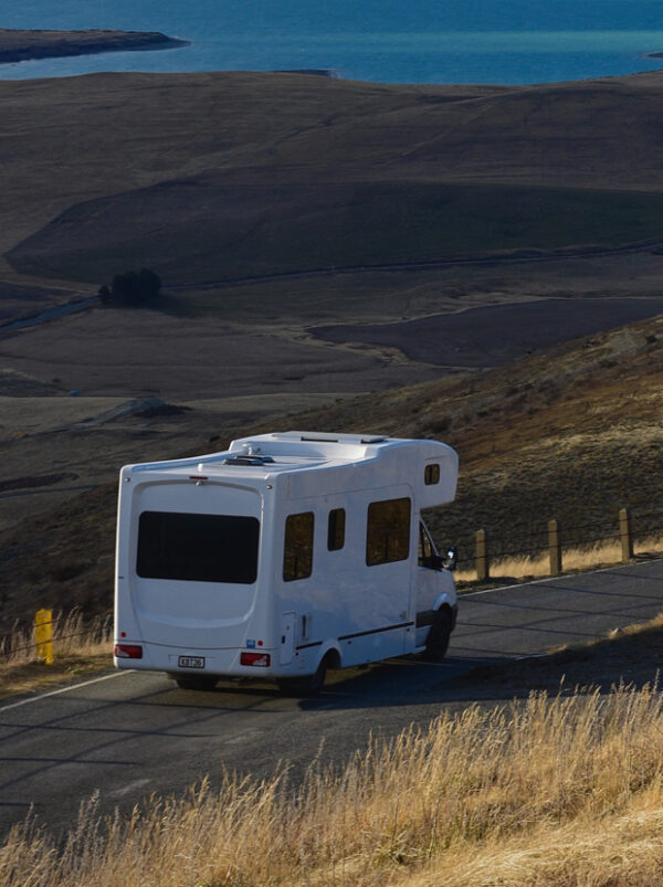 Seagrass Collection - North River Limited